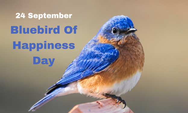 Bluebird Of Happiness Day: Celebrating Joy And Positivity – Birdfy