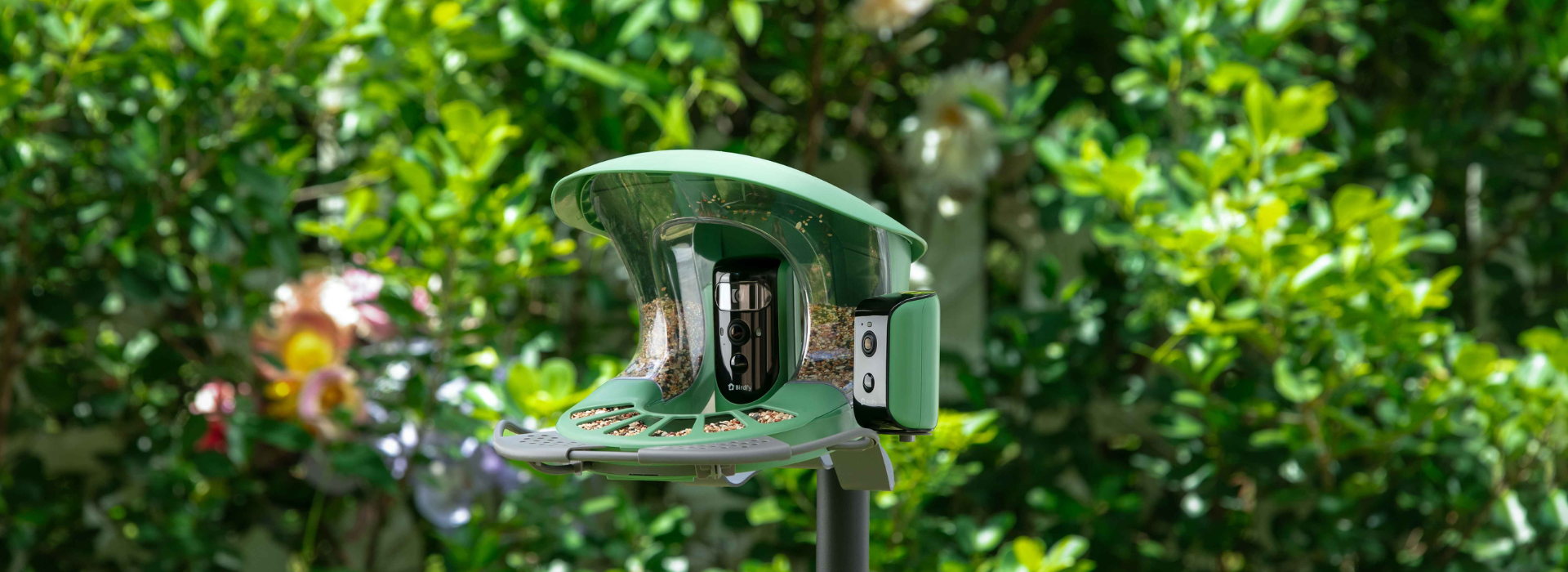 Introducing the Birdfy Feeder 2 Duo: Revolutionizing Birdwatching with