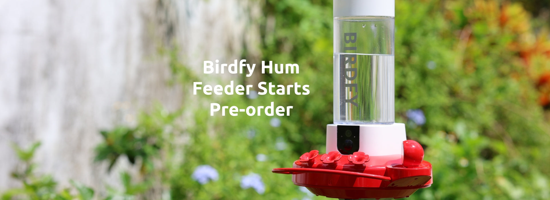 Netvue Unveils Birdfy Hum Feeder: The Revolutionary Dual-Camera Hummin
