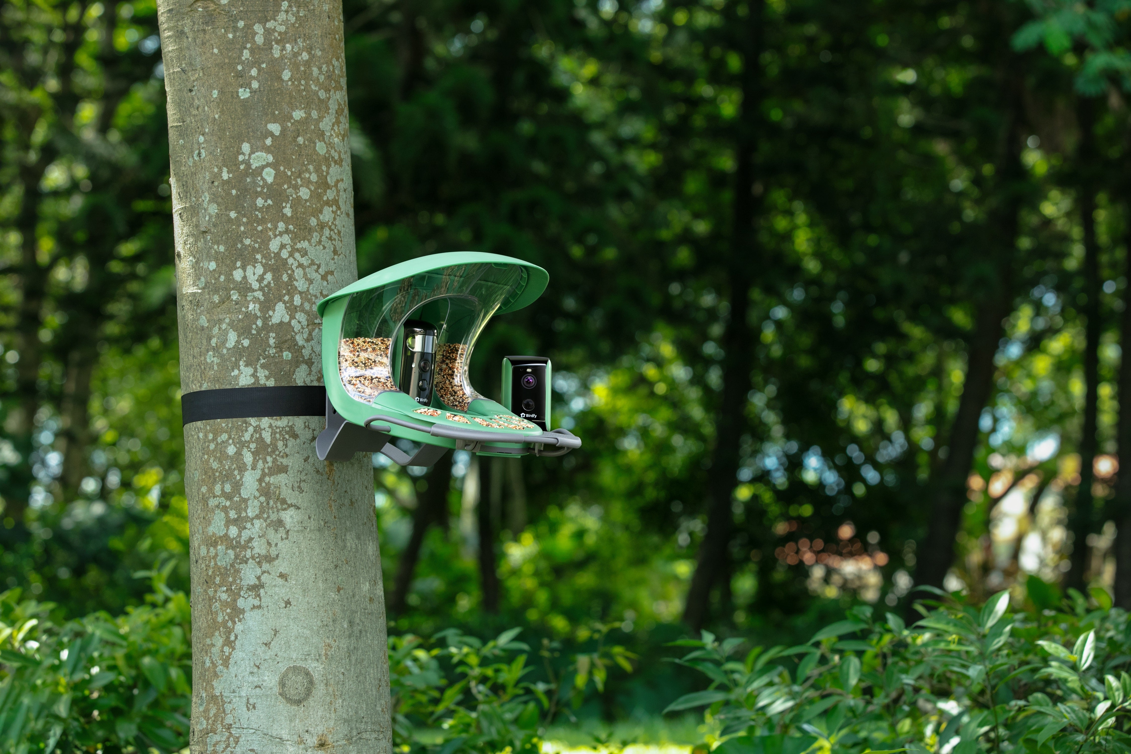 The Top 5 Best Bird Feeders In 2025 – An All-Rounded Overview – Birdfy