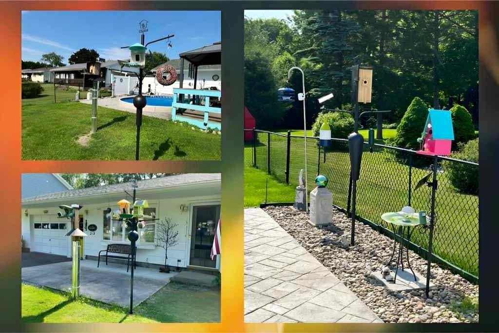 Birds & Birdfy: Why Retirement and Backyard Birdwatching Are the Perfe