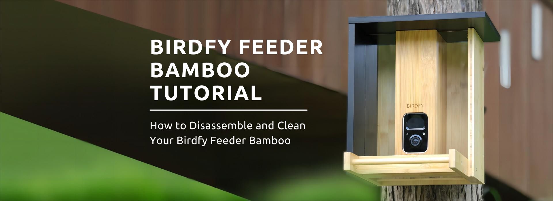 How to Mount Your Birdfy Feeder Bamboo on a Pole