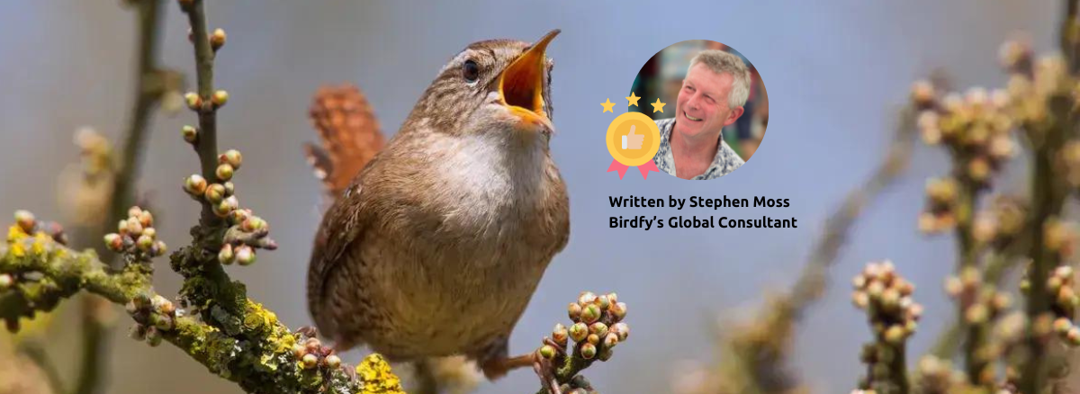 Stephen Moss: Birdsong – Birdfy