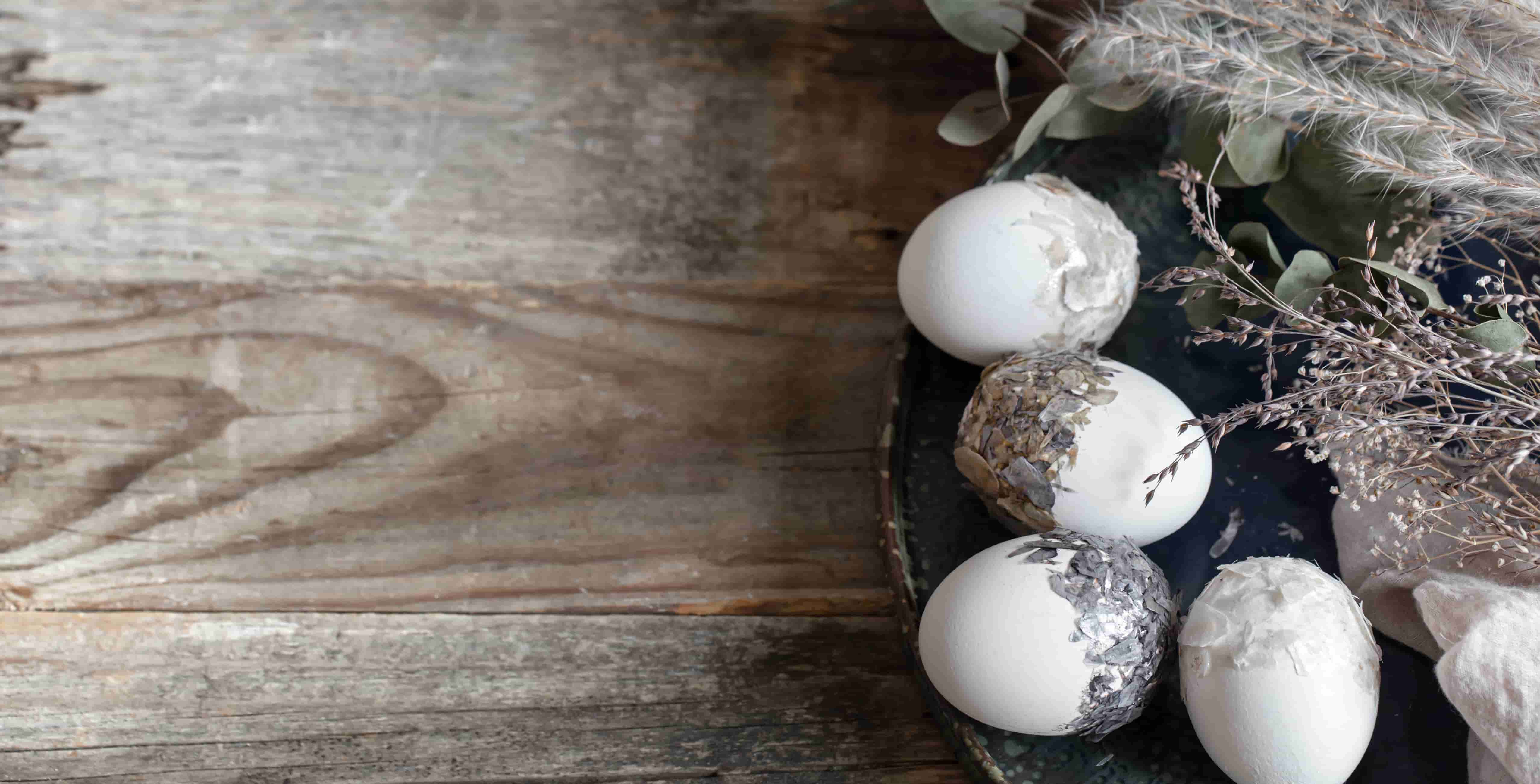 Fun Facts About Bird Eggs – Birdfy