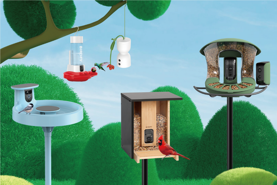 Birdfy Cam - Motion Detection Bird Camera