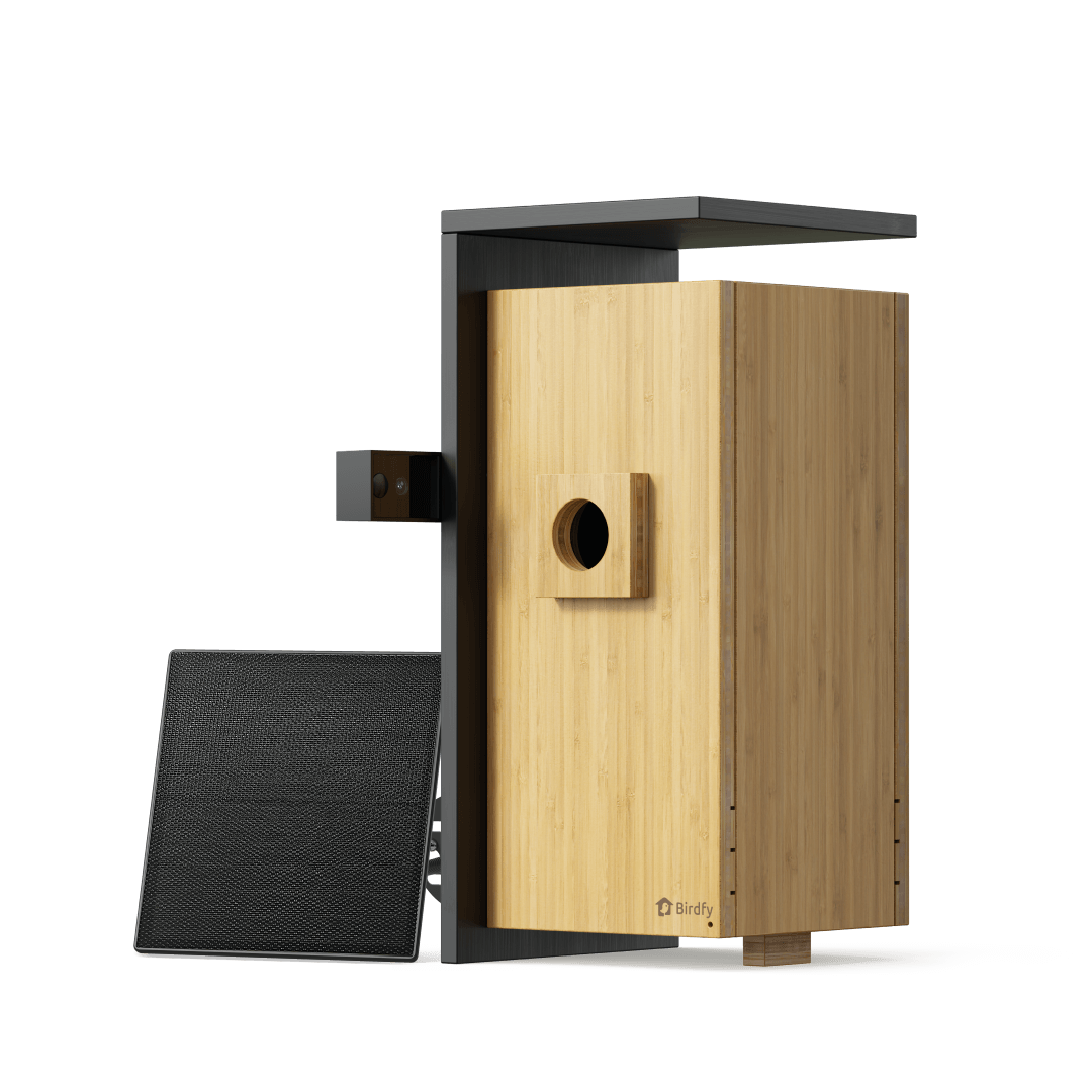 Birdfy Nest Polygon - Smart Birdhouse with Camera