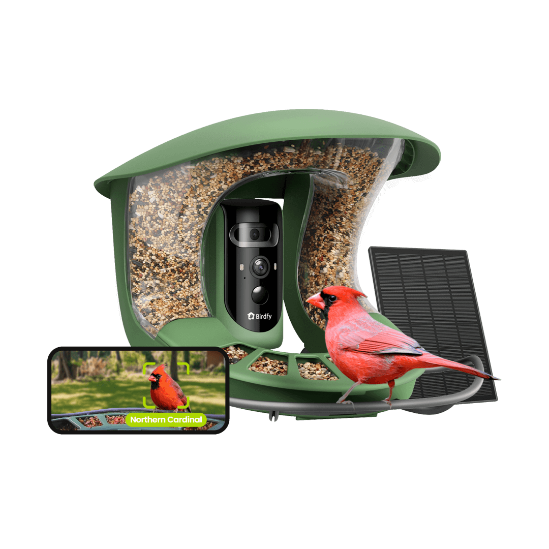 Bird Feeder Camera with Portrait & Wide-angle Camera - Birdfy Feeder 2 Pro