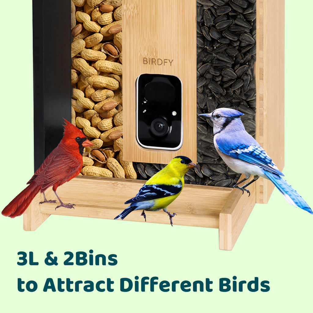 Birdfy Feeder Bamboo - Upgrade Smart Bird Feeder with Eco-friendly Mat