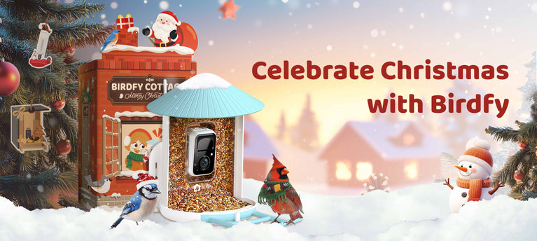 Birdfy Official Site - Birds in Sight, Joy in Mind -Bird Feeder Camera