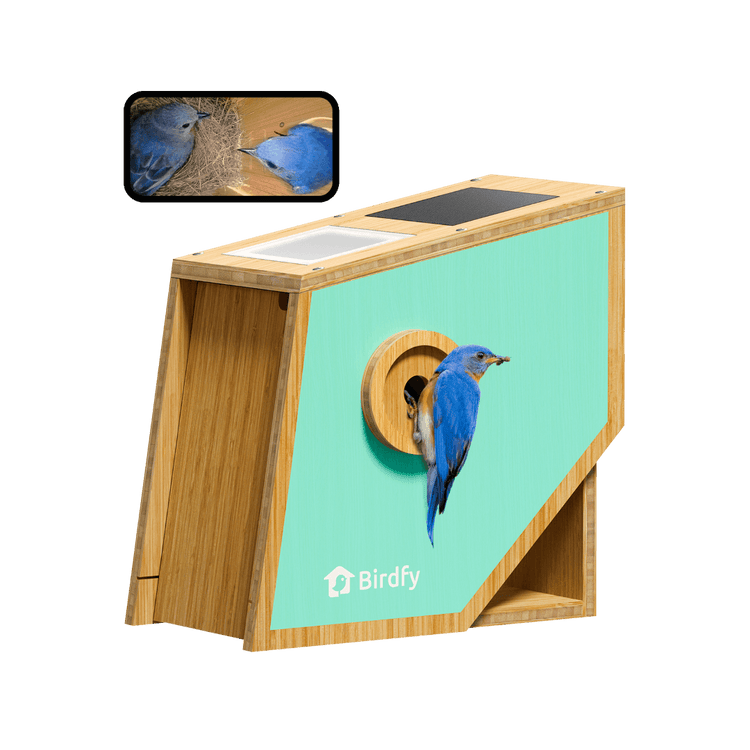 User Manual – Birdfy