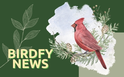 Birdfy Solar Panel - Type C | Power Your Bird Feeder Camera