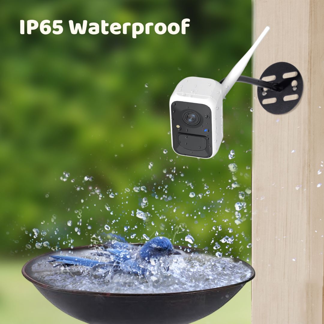 Birdfy Cam - Motion Detection Bird Camera