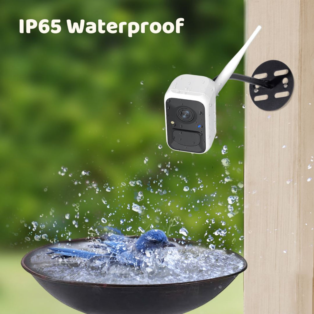 Birdfy Cam - Motion Detection Bird Camera