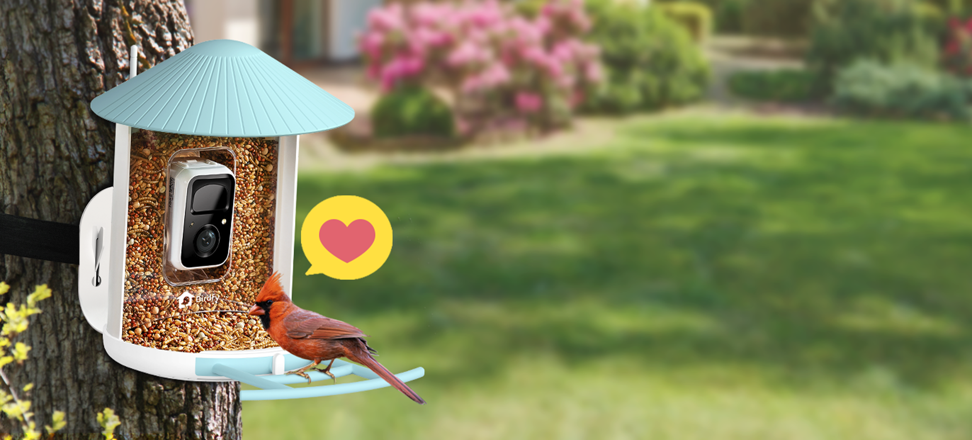Birdfy Feeder with Solar Panel - Smart & Eco-Friendly