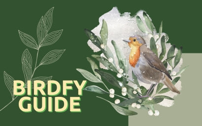 Birdfy Feeder AI & Lite Version: The Smart Camera Bird Feeder