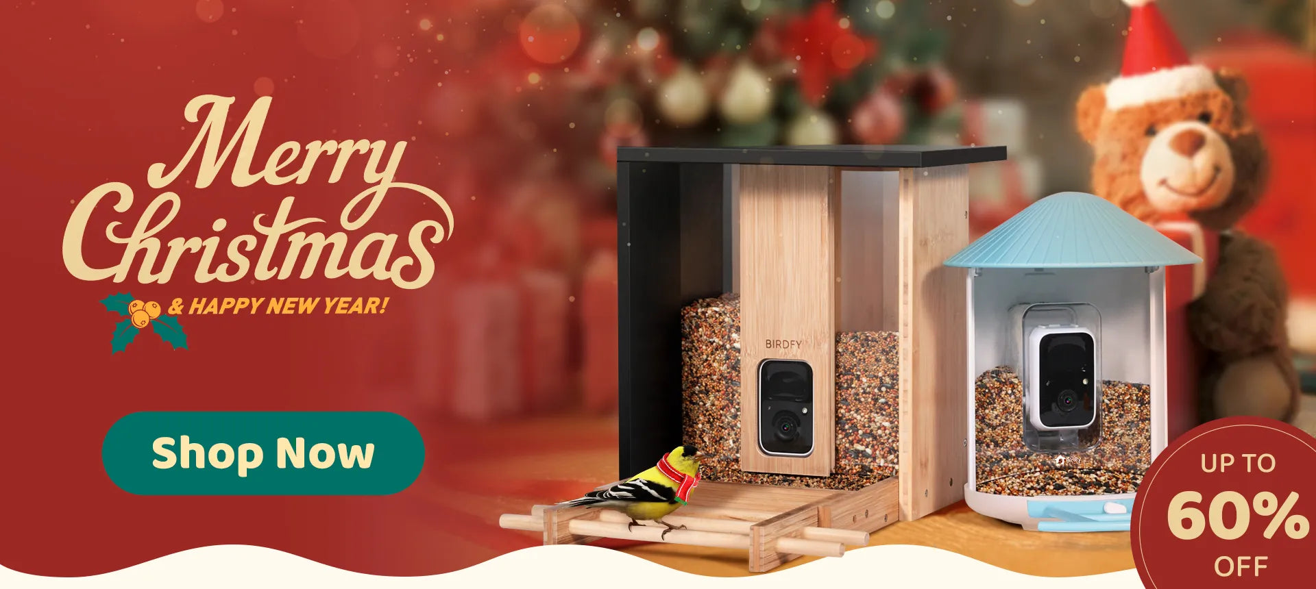 Birdfy Official Site - Birds in Sight, Joy in Mind -Bird Feeder Camera