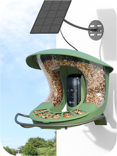 Bird Feeder Camera with Portrait & Wide-angle Camera - Birdfy Feeder 2 Pro