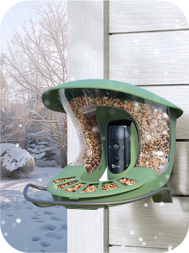 Bird Feeder Camera with Portrait & Wide-angle Camera - Birdfy Feeder 2 Pro