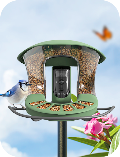 Bird Feeder Camera with Portrait & Wide-angle Camera - Birdfy Feeder 2 Pro