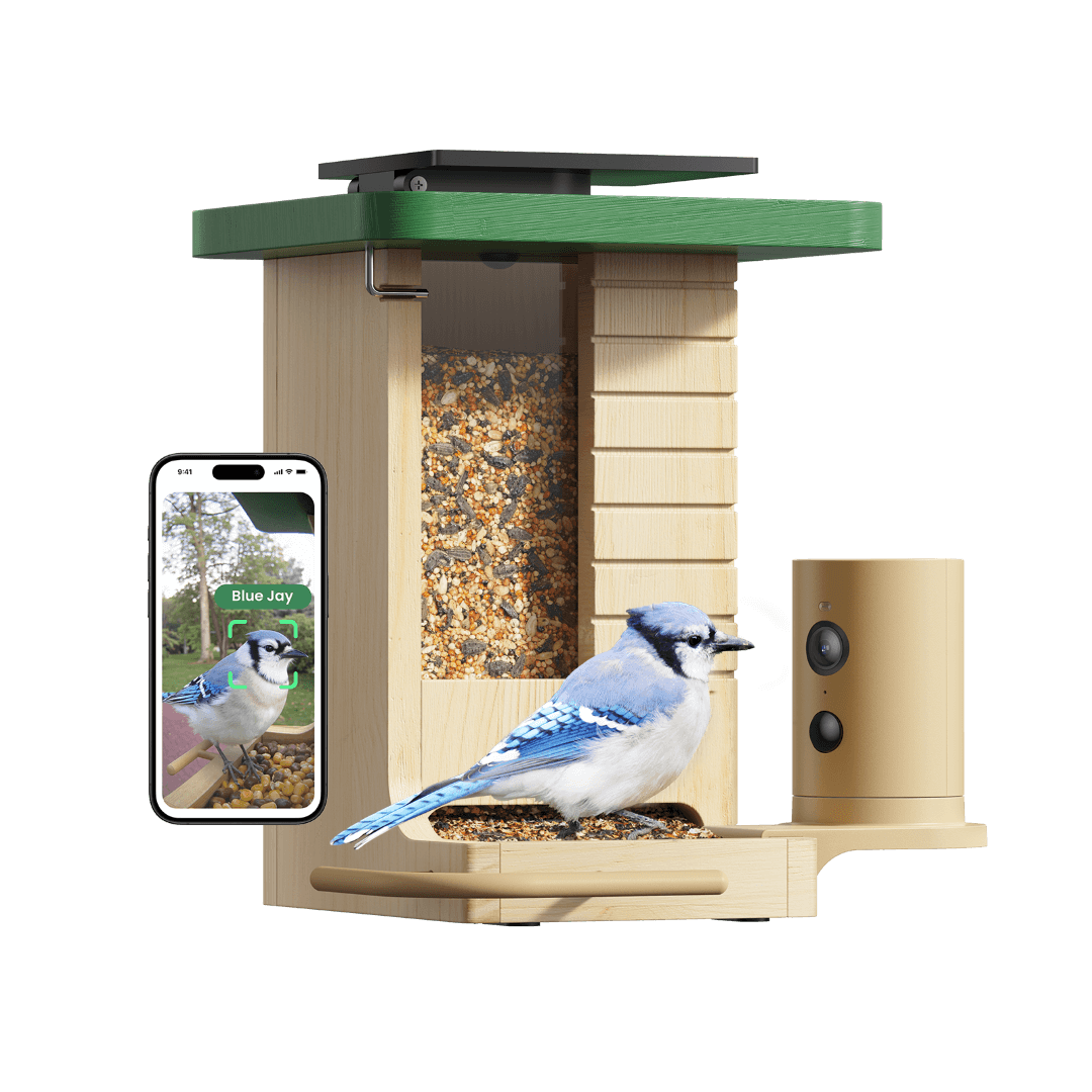 Birdfy Hum Feeder Duo – Smart Hummingbird Feeder with Dual Cameras
