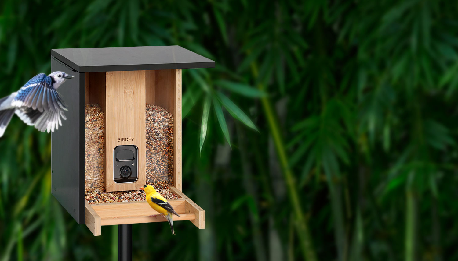 Birdfy Feeder Bamboo - Smart Bird Feeder with Eco-friendly Material