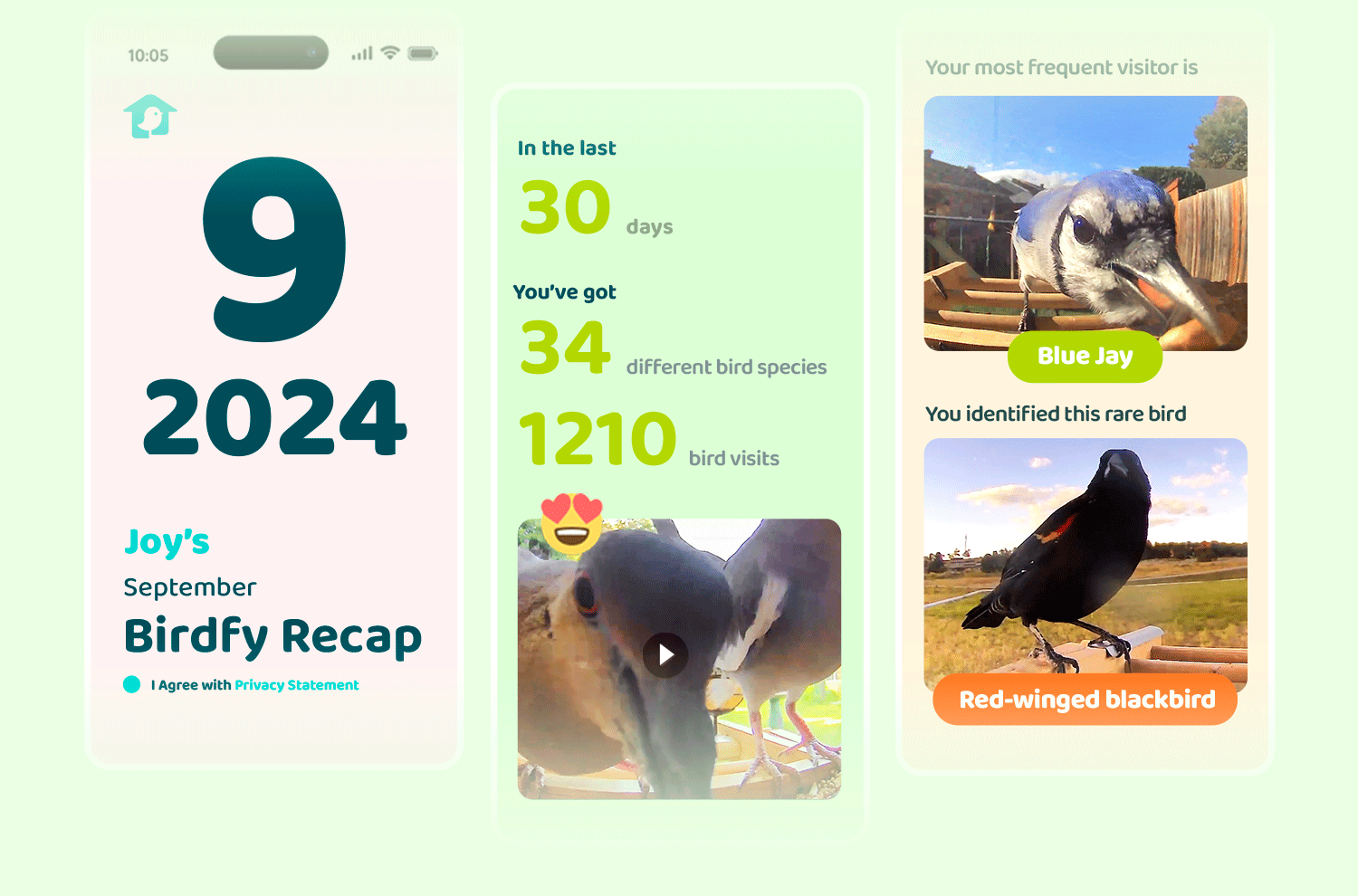 Birdfy Feeder Bamboo - Smart Bird Feeder with Eco-friendly Material