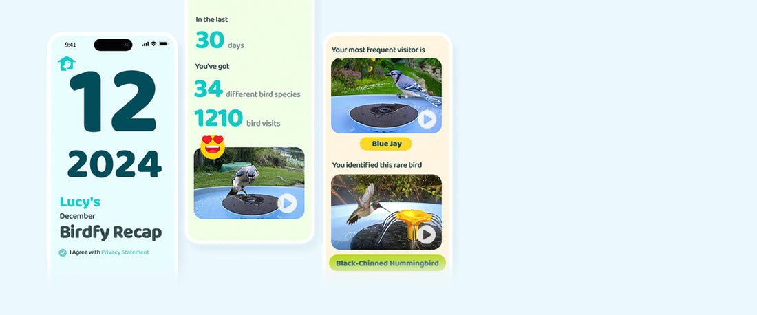 Birdfy Bath Pro