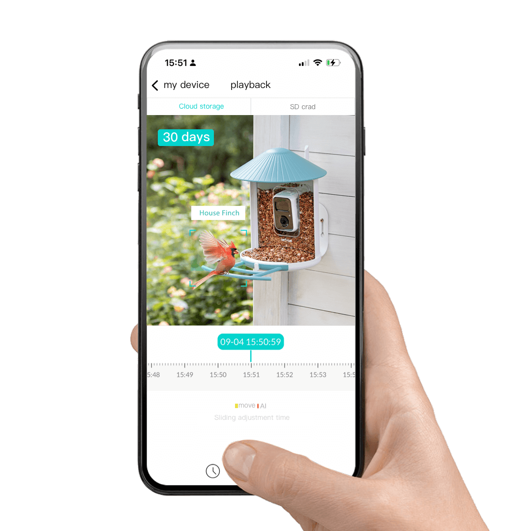 Bird Recognition AI Skills – Birdfy