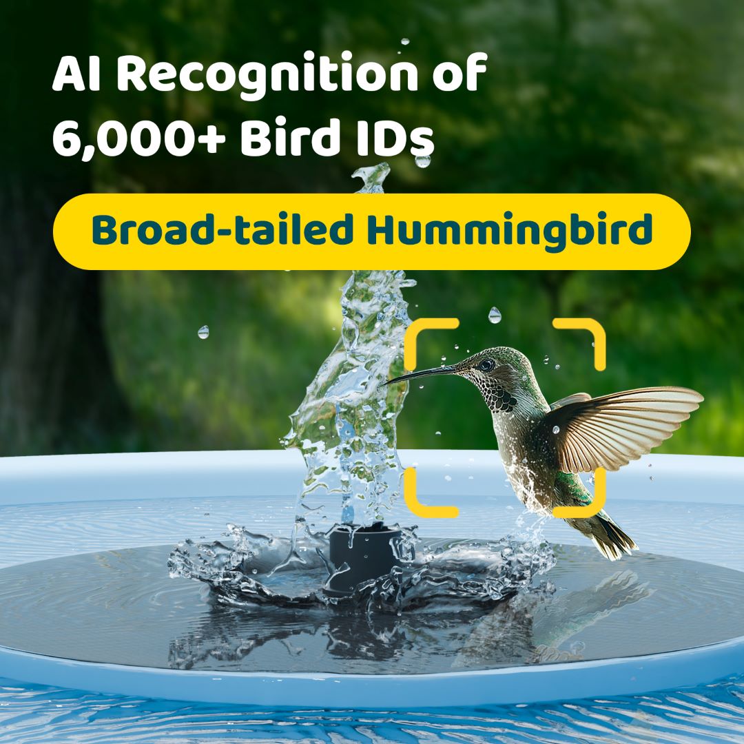 Birdfy Bath Pro: Solar Bird Bath Fountain & Smart Camera - Clean Flow