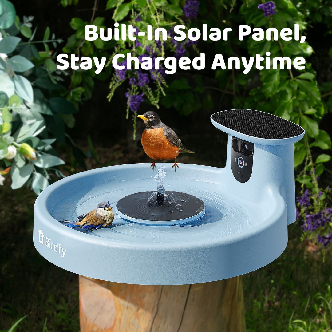 Birdfy Bath Pro: Solar Bird Bath Fountain & Smart Camera - Clean Flow