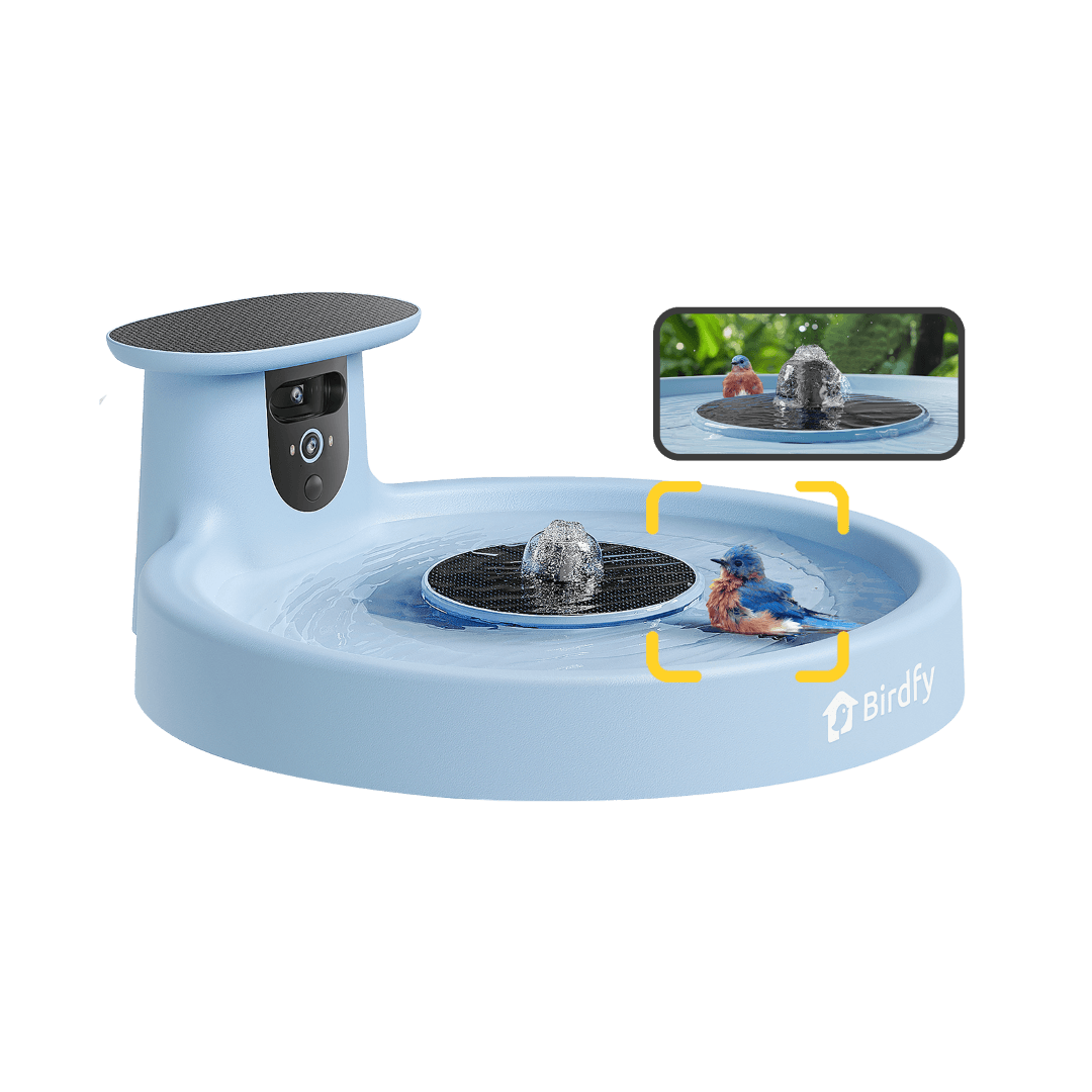 Products Birdfy