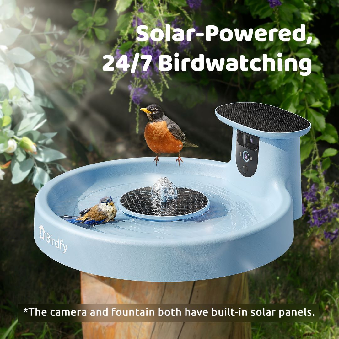 Birdfy Bath Pro