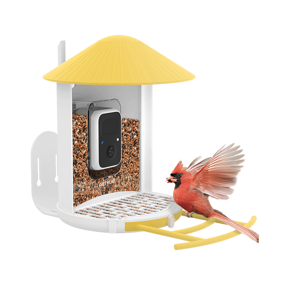 Seed Guard for Birdfy Feeder 1