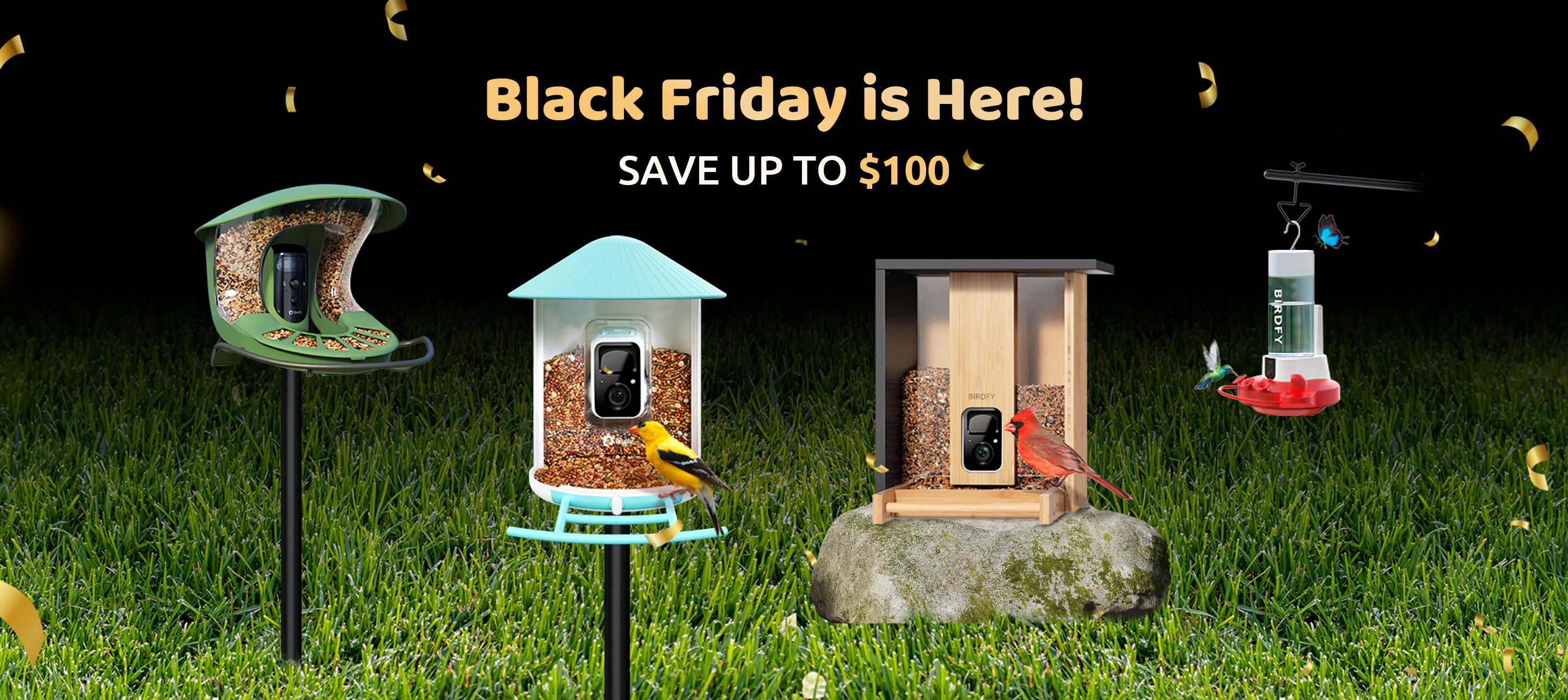 Birdfy Official Site - Birds in Sight, Joy in Mind -Bird Feeder Camera