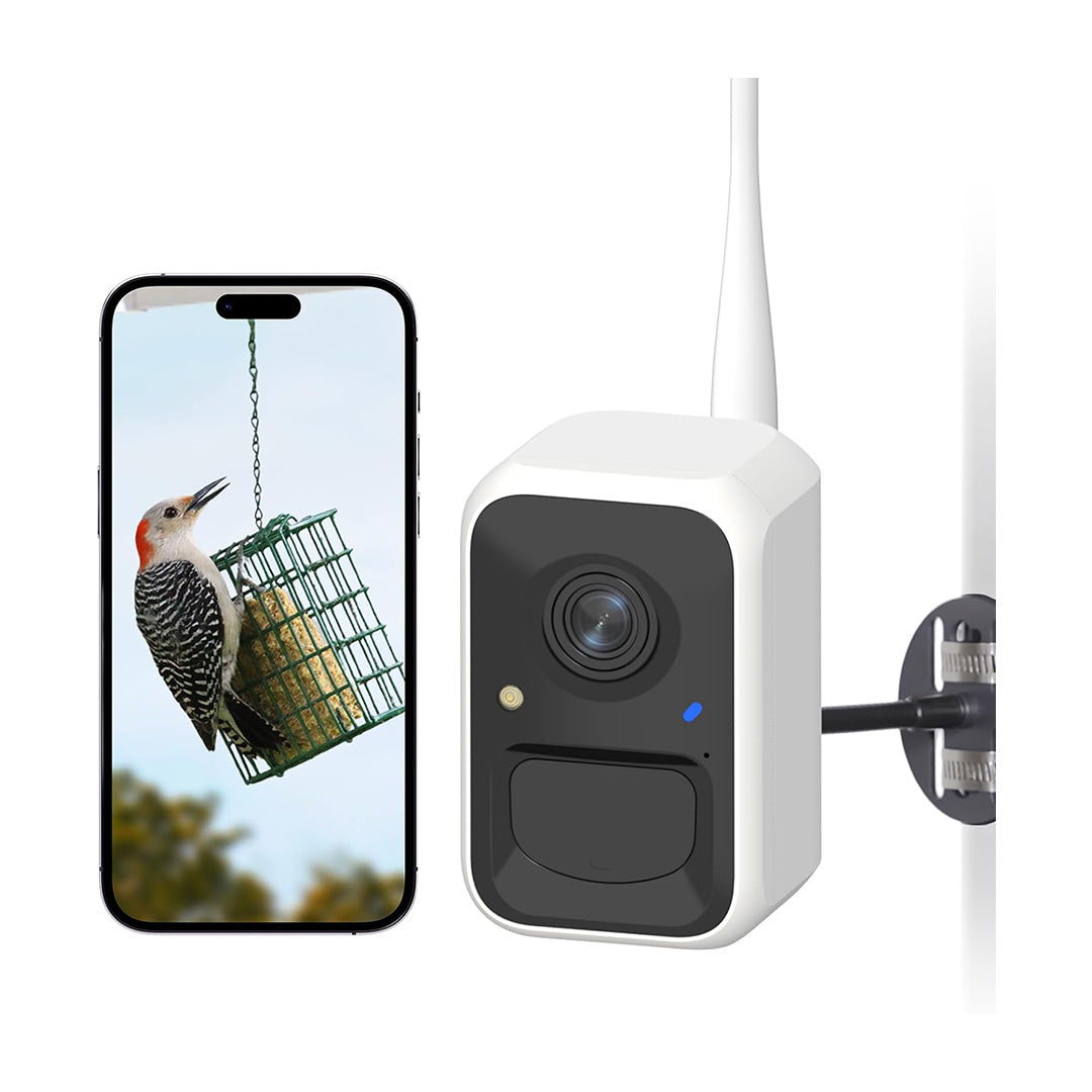 Birdfy Cam - Motion Detection Bird Camera