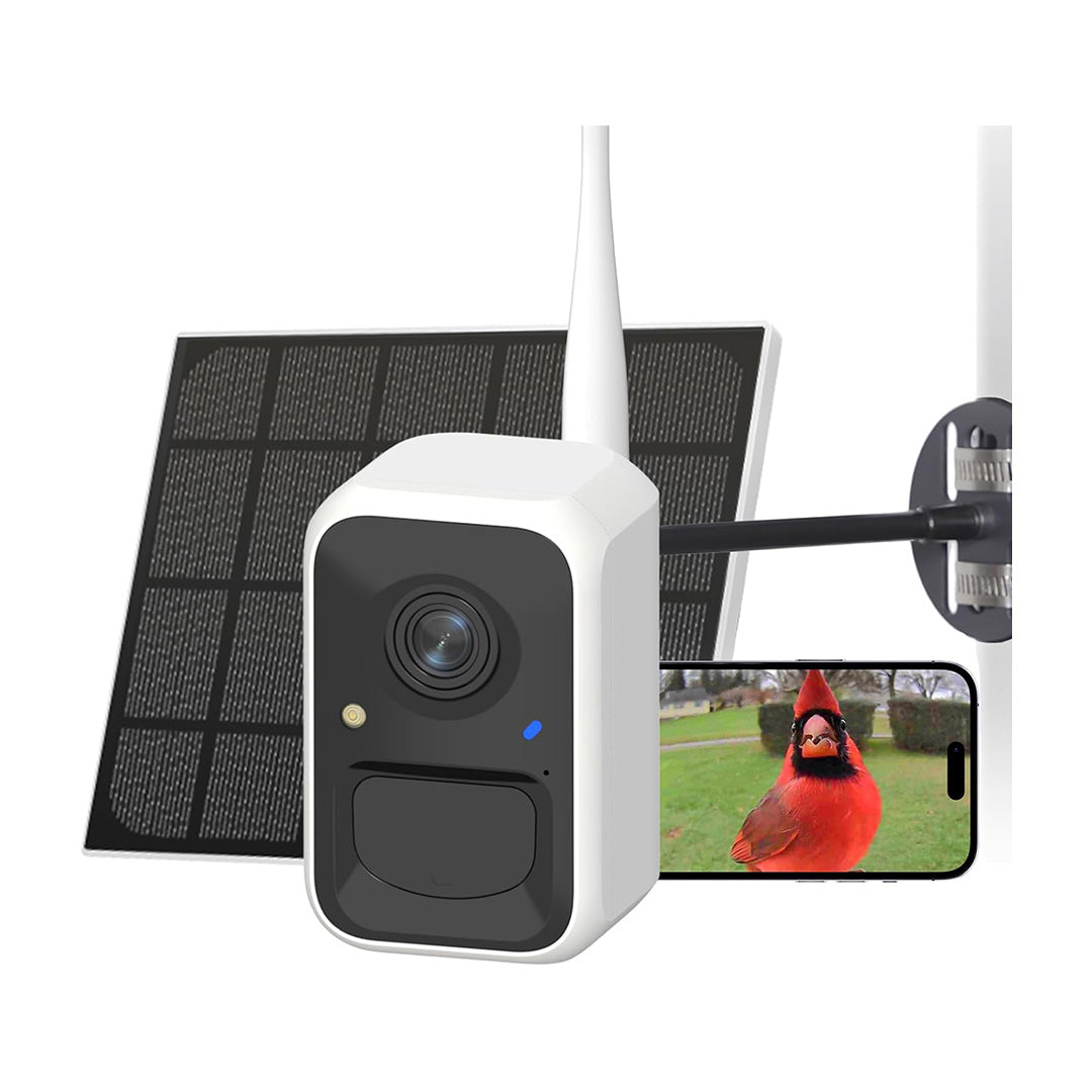 Birdfy Cam - Motion Detection Bird Camera