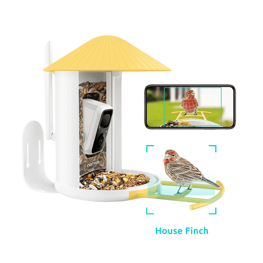 User Manual – Birdfy