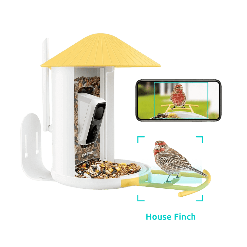 Bird Feeder AI & Lite Version: Birdfy Smart Camera Bird Feeder