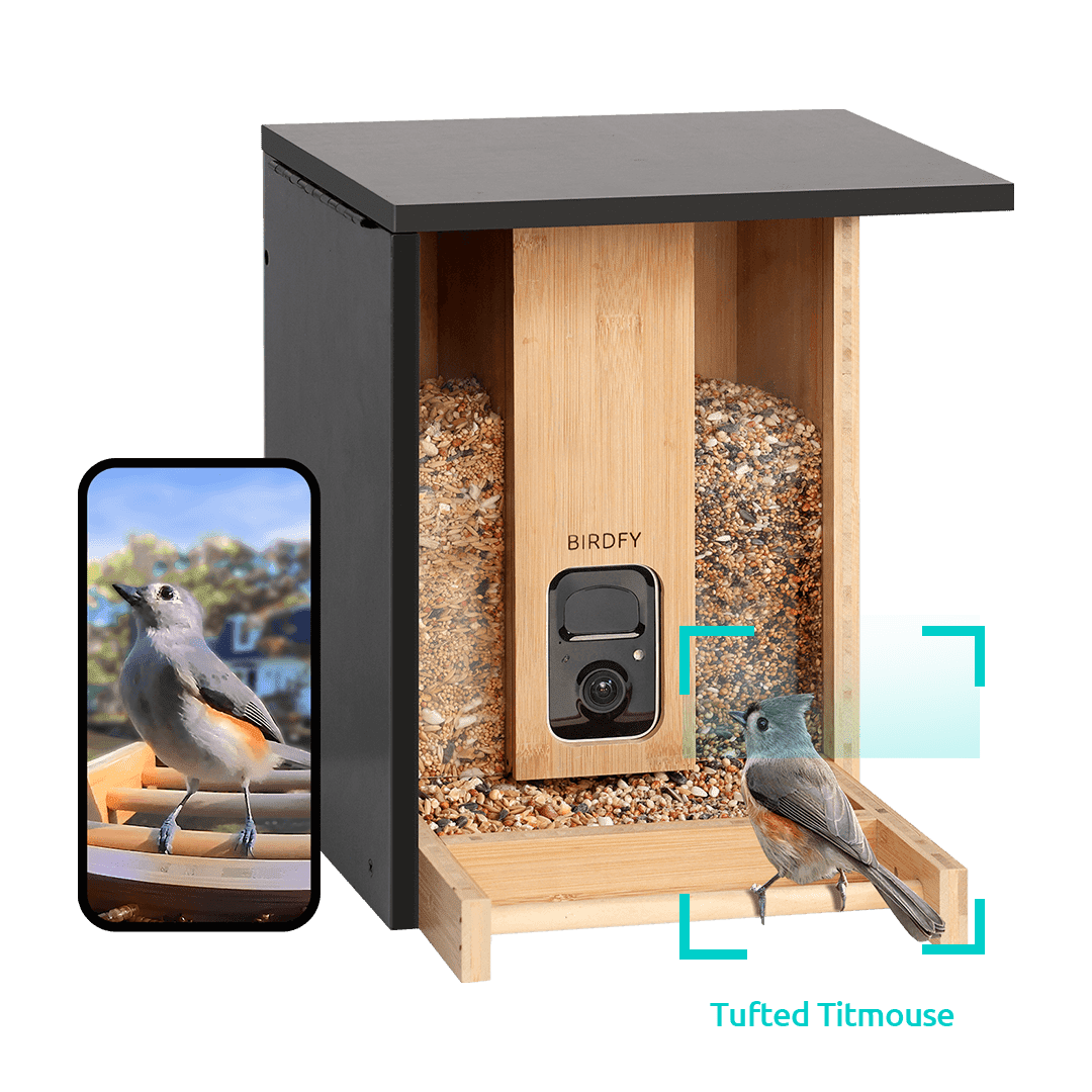 Birdfy Feeder Bamboo - Smart Bird Feeder with Eco-friendly Material