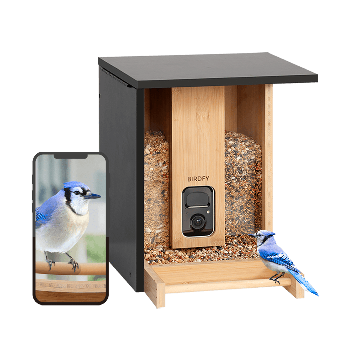 Birdfy Feeder Bamboo - Smart Bird Feeder with Eco-friendly Material