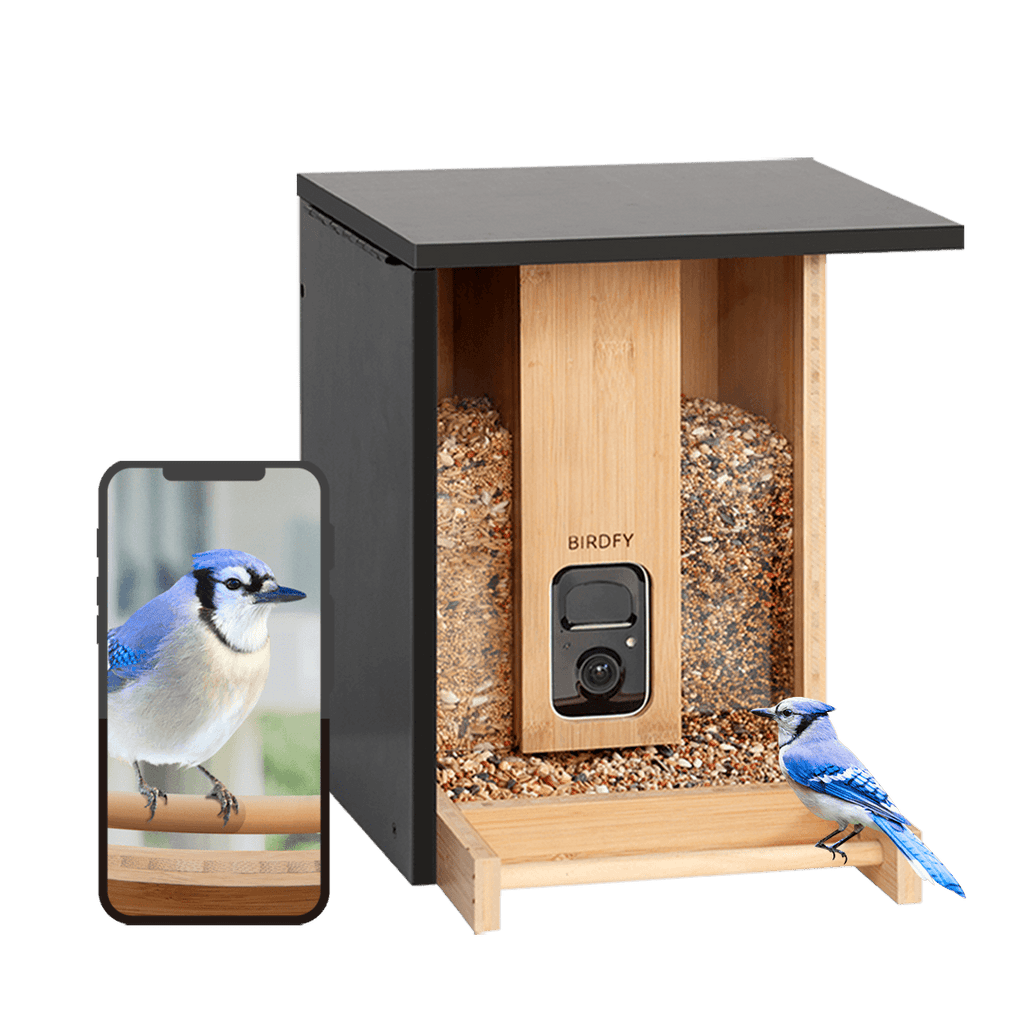 Birdfy Feeder Bamboo - Upgrade Smart Bird Feeder with Eco-friendly Mat