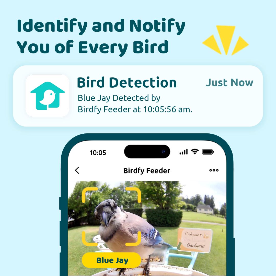 Bird Feeder AI Version: Birdfy Smart Camera Bird Feeder