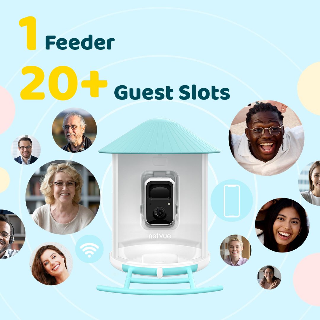Bird Feeder AI Version: Birdfy Smart Camera Bird Feeder