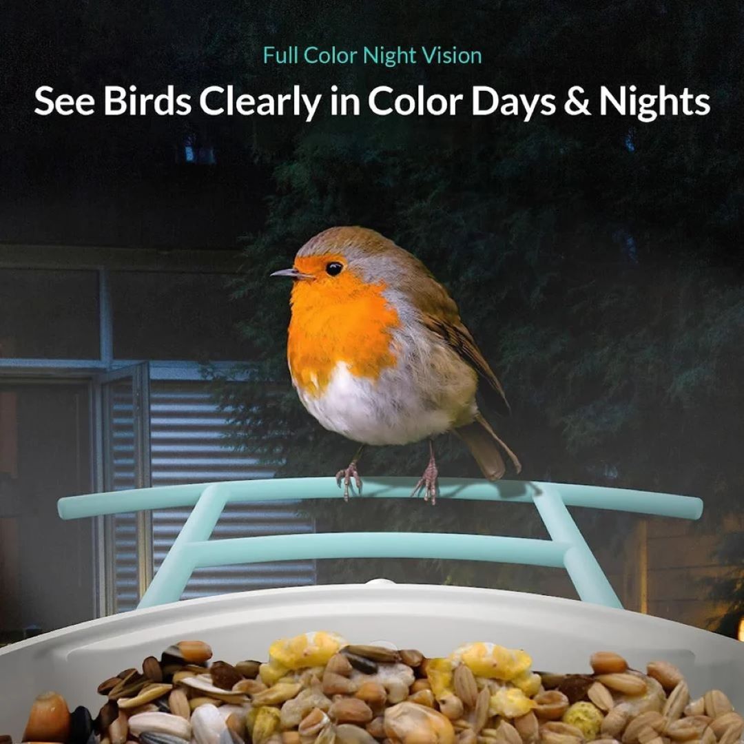 Birdfy Official Site - Birds in Sight, Joy in Mind
