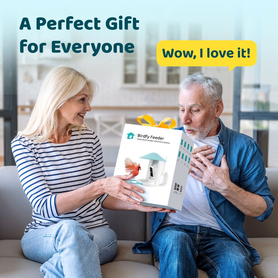 Birdfy Feeder with Solar Panel - Smart & Eco-Friendly