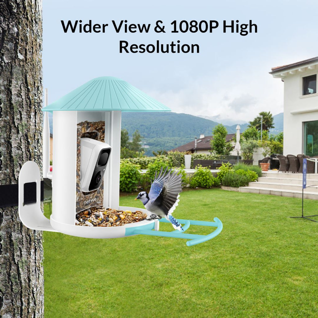 Birdfy Feeder with Solar Panel - Smart & Eco-Friendly