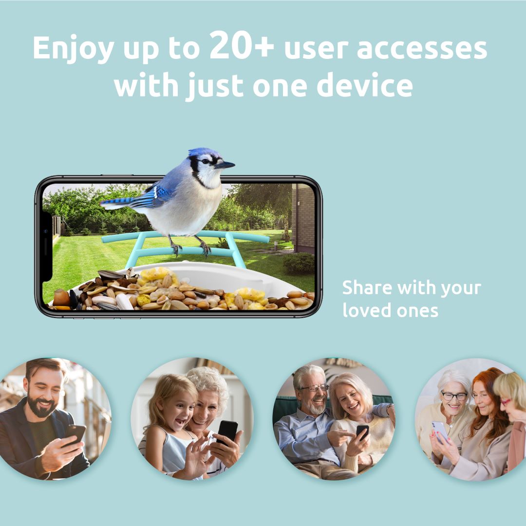 Birdfy Feeder with Solar Panel - Smart & Eco-Friendly