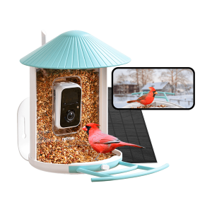 Birdfy Feeder with Solar Panel - Smart & Eco-Friendly