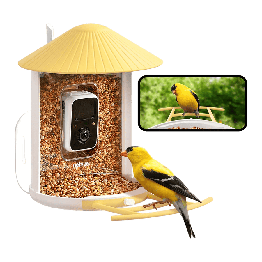 Bird Feeder AI Version: Birdfy Smart Camera Bird Feeder