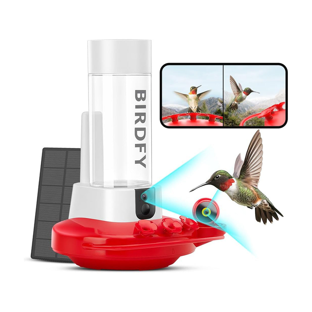 Birdfy Official Site - Birds in Sight, Joy in Mind